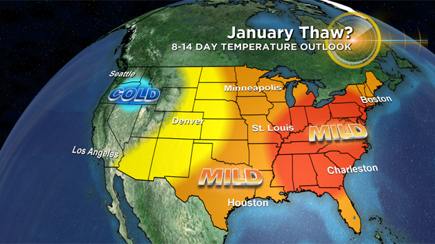 Spring in January? | Lucky Otters Haven