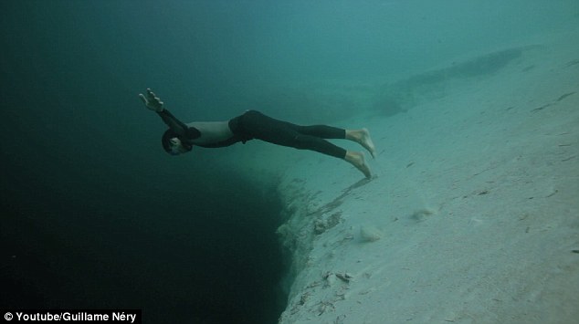 “Free Fall” (video) | Lucky Otters Haven