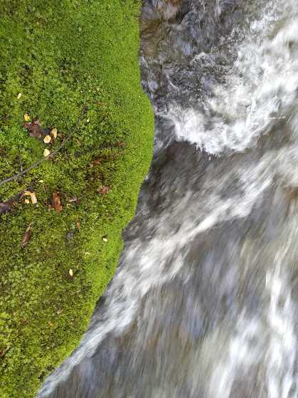 A beautiful day in the Blue Ridge mountains. | Lucky Otters Haven