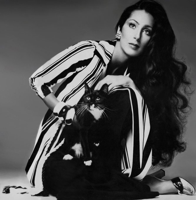 Cher and cat. | Lucky Otters Haven