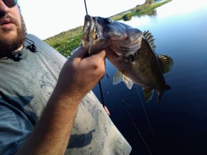 Fishing in a central Florida swamp. | Lucky Otters Haven