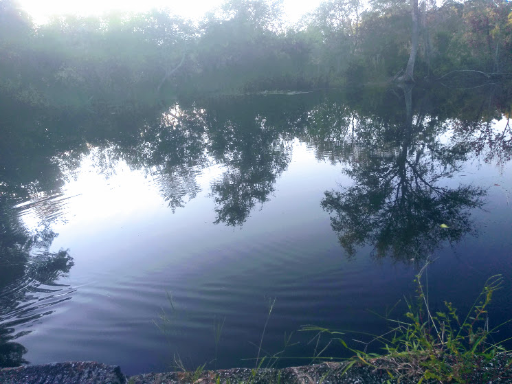 Fishing in a central Florida swamp. | Lucky Otters Haven