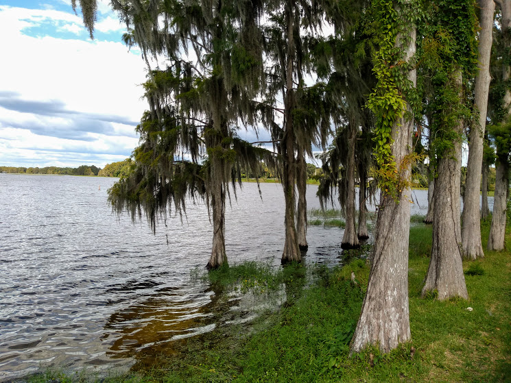Fishing in a central Florida swamp. | Lucky Otters Haven